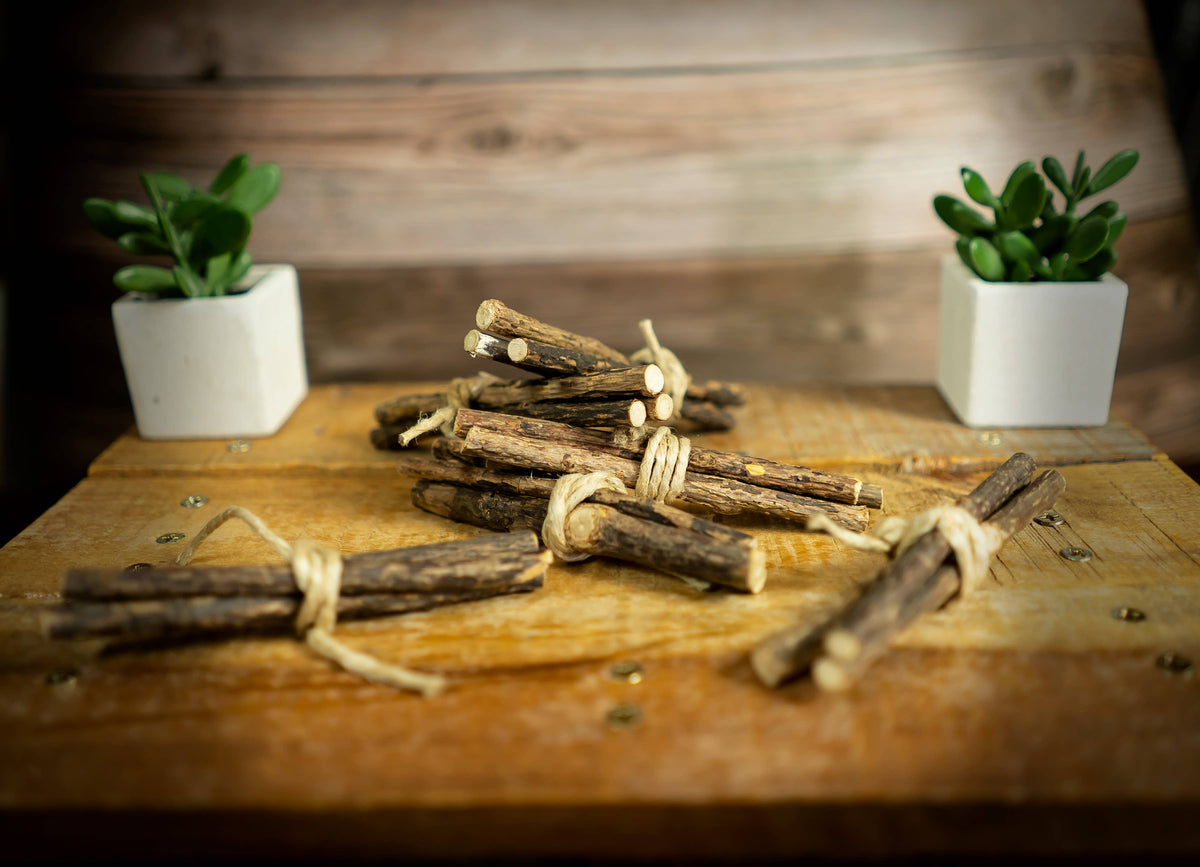 Silver Vine Matatabi Sticks for Cats – PetDesignZ